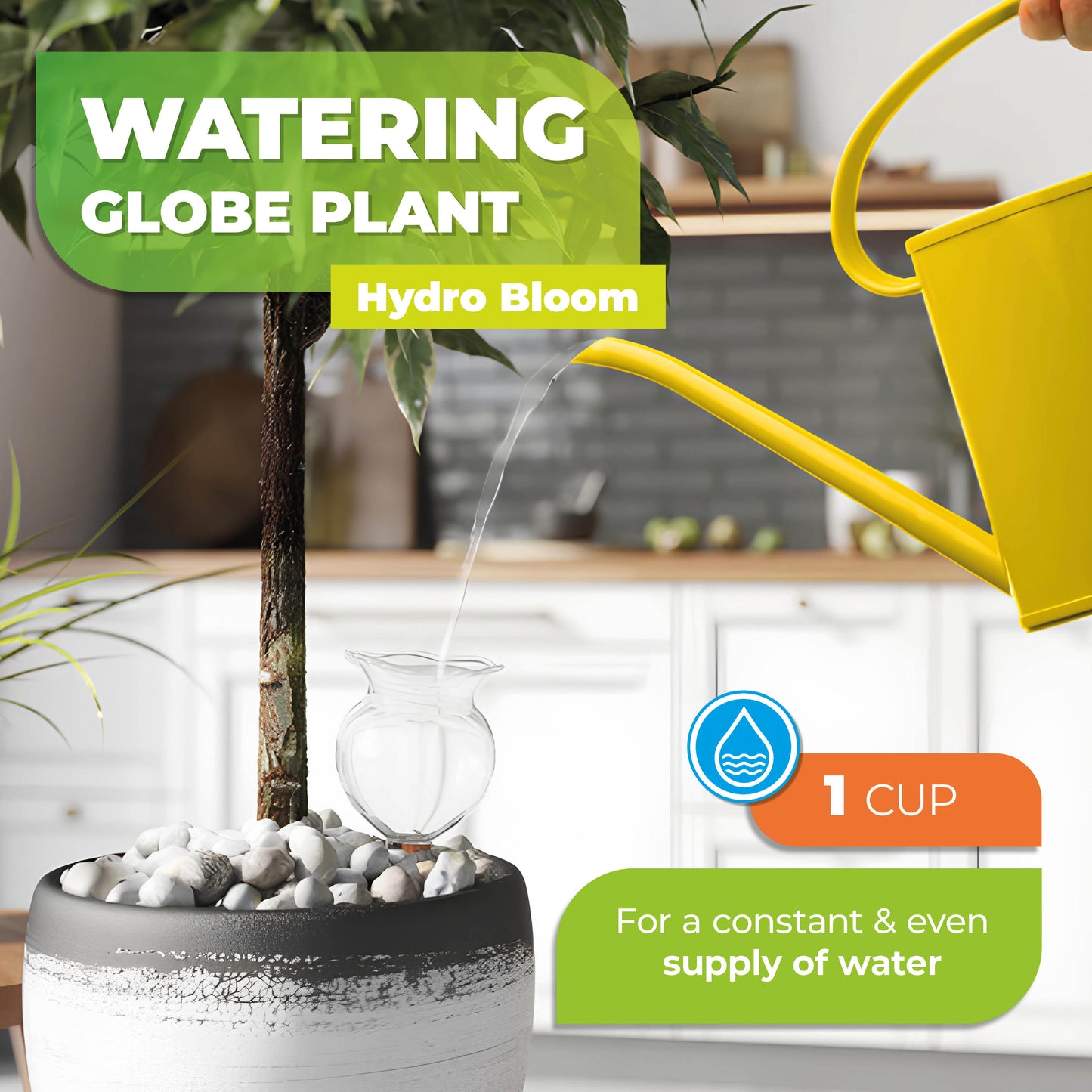 Watering Globe Plant - "Hydro Bloom" - biogreen-products.com