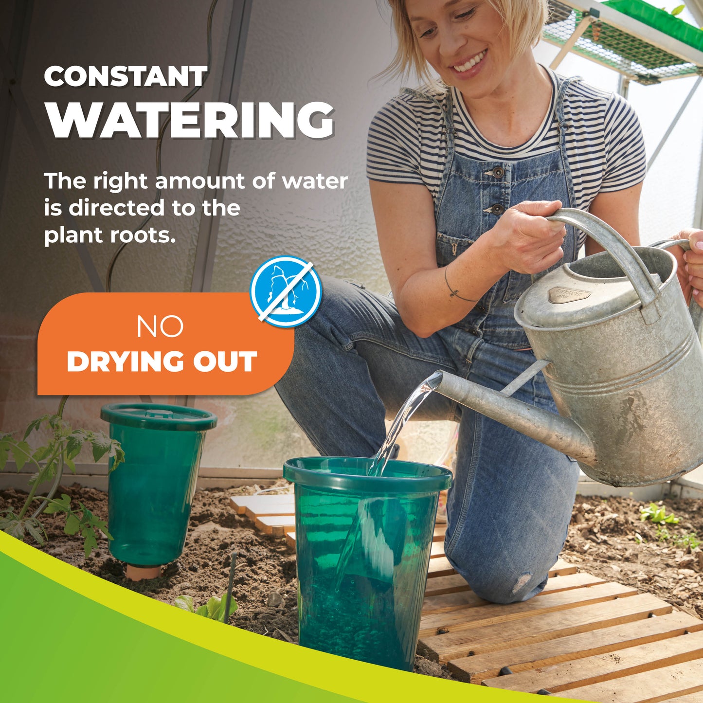 Set of 4 x Self Watering Spikes and 4 x Cups - "Hydro Cup" - biogreen ...