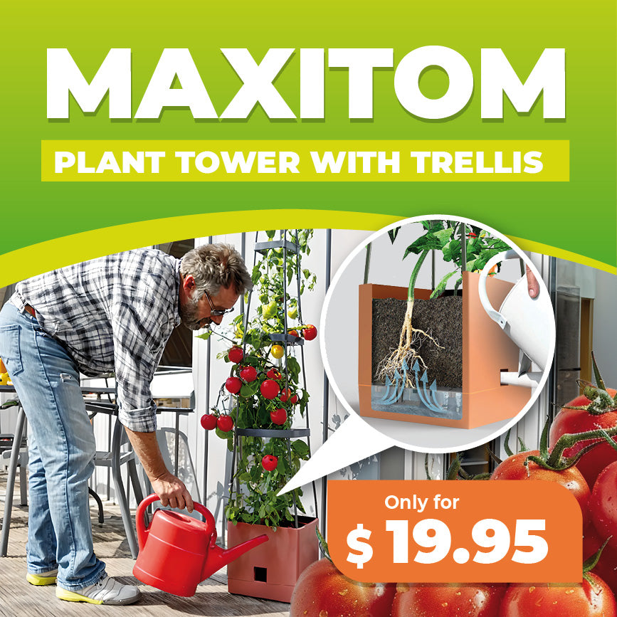 Innovating Gardening Success with Effective biogreen-products.com