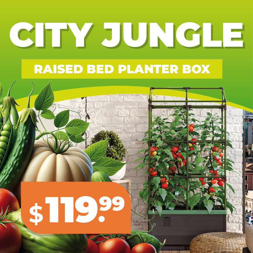 Innovating Gardening Success with Effective biogreen-products.com