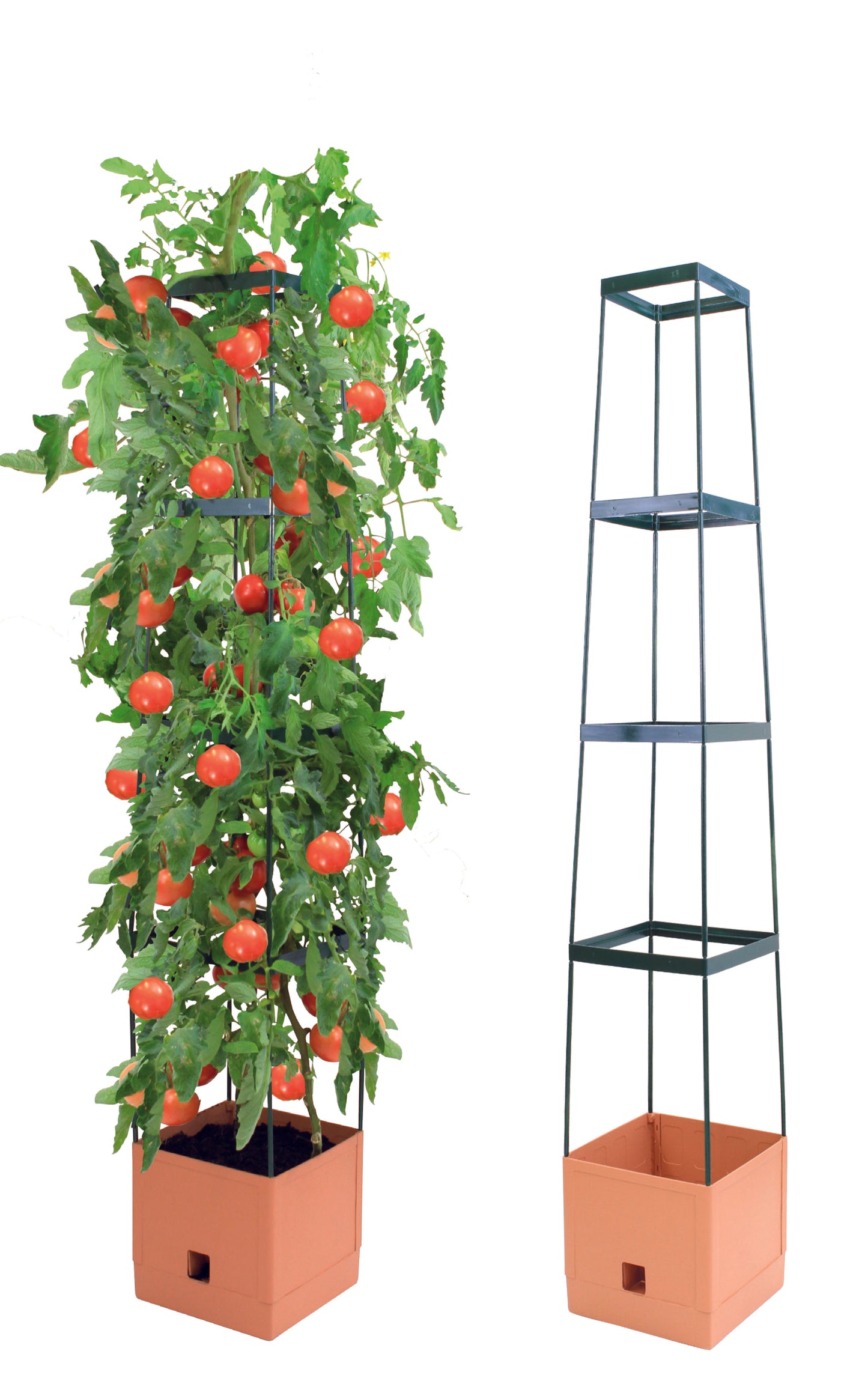 Self Watering Planter Box With Trellis - "Maxitom" Terracotta, 2 Pcs ...