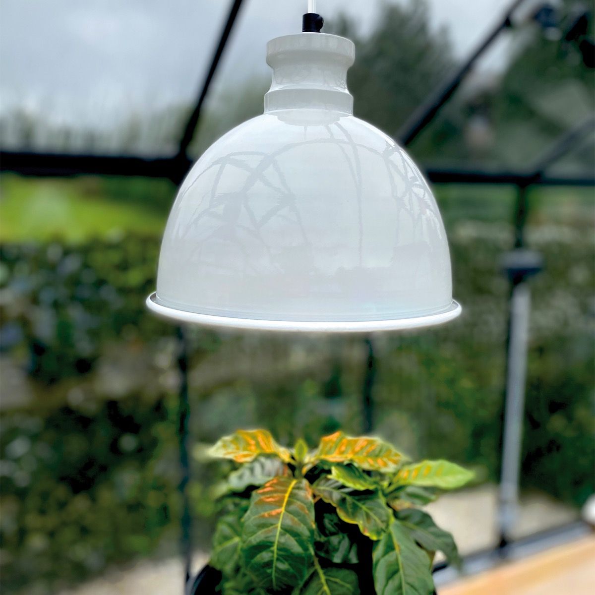 Led Plant Light "Florabooster" Incl. Plant Grow Lamp 6,5w - White ...